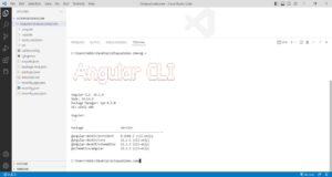 Check Angular Version using Command Line - OctopusCodes