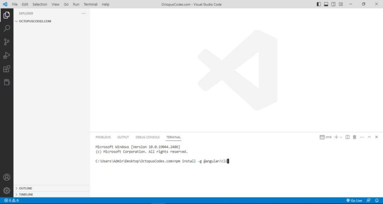 Install Angular on Windows - OctopusCodes